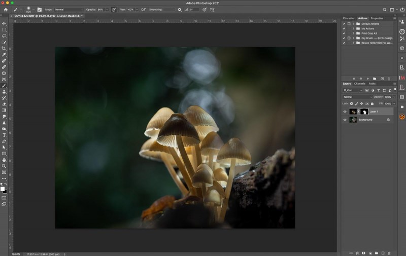 OM-System OM1-MKII Guide – Phil Norton Photography