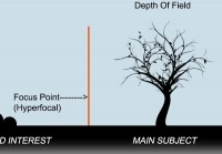 OM-System OM1-MKII Guide – Phil Norton Photography