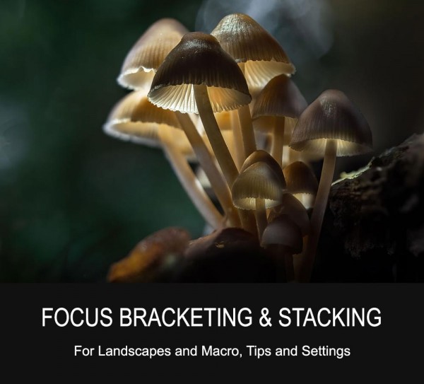 OM-System OM1-MKII Guide – Phil Norton Photography