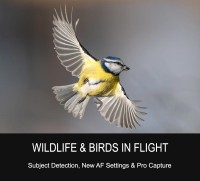 OM-System OM1-MKII Guide – Phil Norton Photography