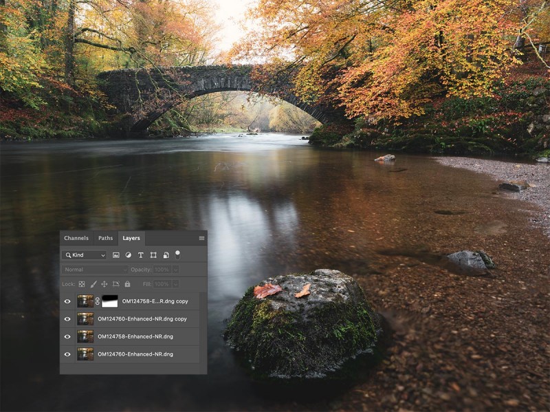 Focus Stacking – Phil Norton Photography